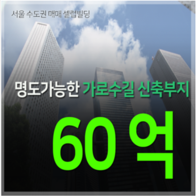 60억 신사동신축부지 빌딩매매 네이버 블로그