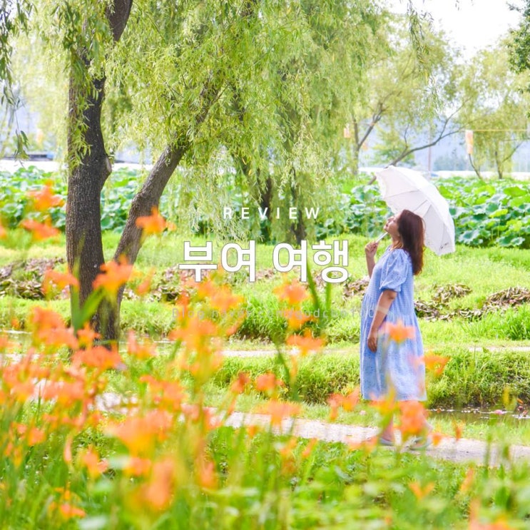 부여 롯데리조트 숙소와 근처 7월에 가볼만한곳 롯데아울렛 마곡사 등 충남 공주부여여행 네이버 블로그