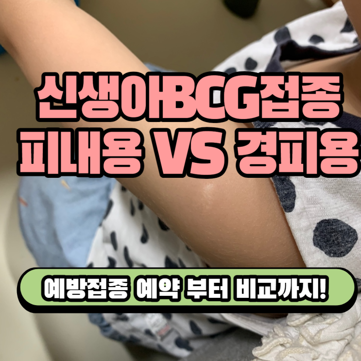예방접종 신생아 Bcg접종 경피용 피내용 비교 네이버 블로그