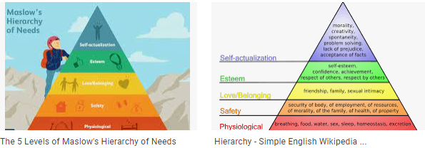 [외국계에서 살아남기] Hierarchy(하이어라키) 뜻 / Root cause 뜻 : 네이버 블로그