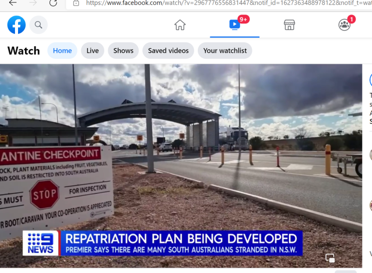 한국 가는 Sogno 와 repatriation plan : 네이버 블로그