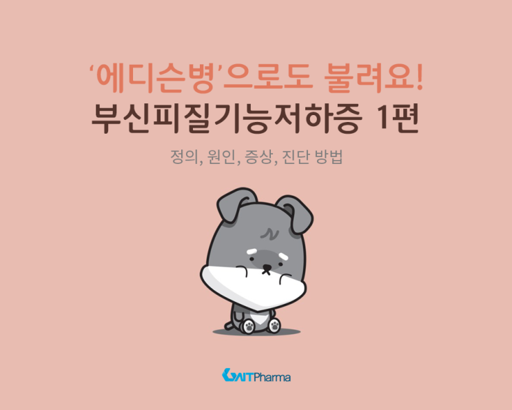 4 강아지 에디슨병 부신피질기능저하증 1편 정의 원인 증상 진단 방법 네이버 블로그