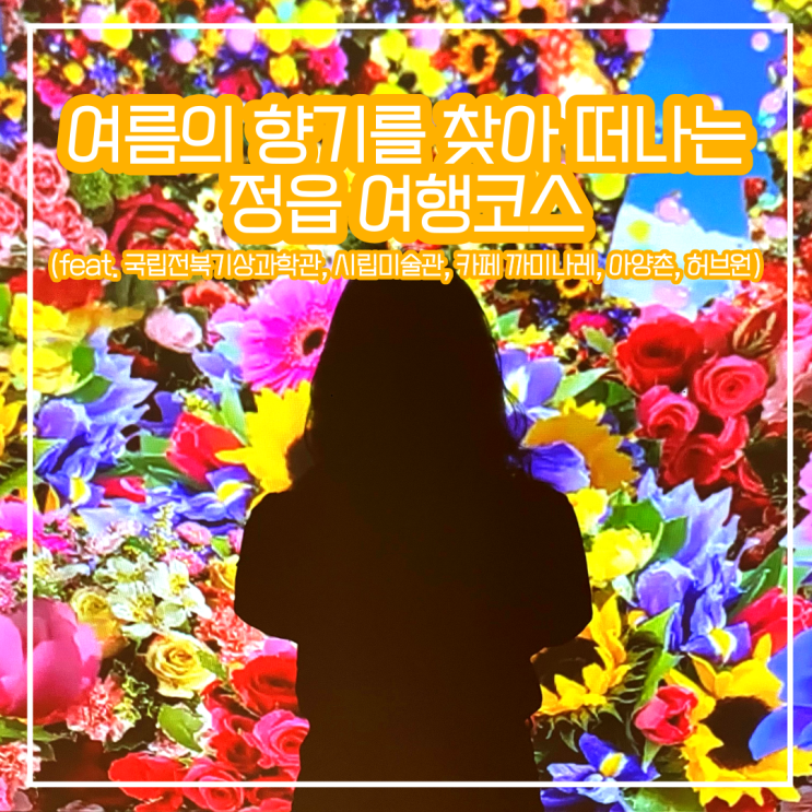여름의 향기를 찾아 떠나는 정읍 여행코스 정읍 맛집 추천 카페 까미나레 정읍 당일치기 여행 네이버 블로그