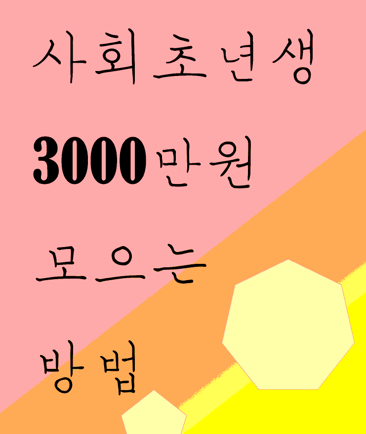 사회 초년생 3000만 원 모으기 목돈 모으는 가계부 쓰는 법 수입을 기록하라 네이버 블로그