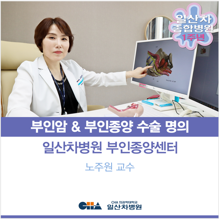 일산차병원 명의 부인종양센터 노주원 교수 부인암 및 부인종양 수술 명의 네이버 블로그