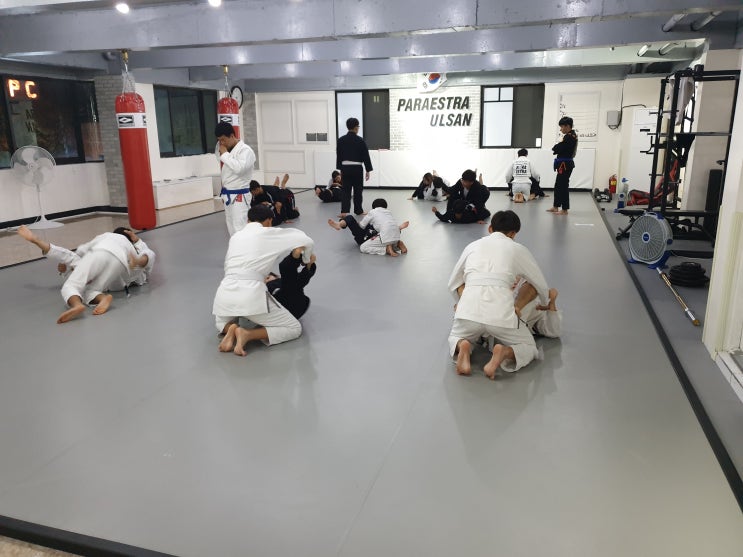파라에스트라울산 울산에서 쉽고 재미있게 주짓수운동을 배울 수 있는 울산주짓수전문체육관 파라에스트라울산 네이버 블로그