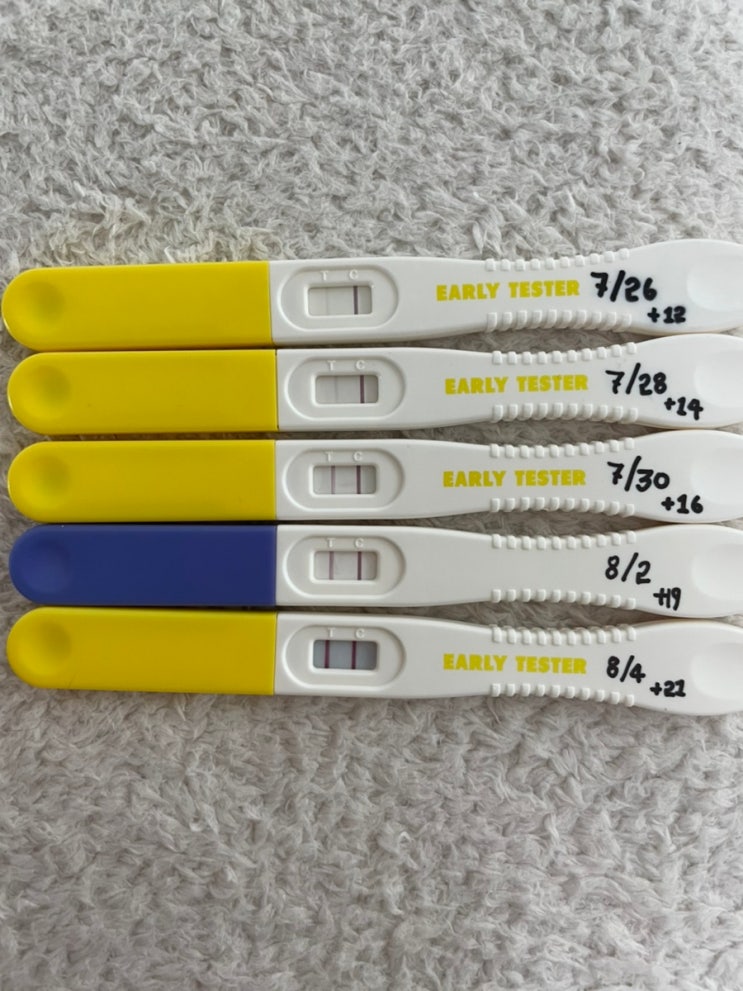 14 배란12일째부터 배란21일까지 임테기 진하기 비교스마일 얼리테스터 스마일 슈퍼패스트 유한양행 센스데이체크 임테기