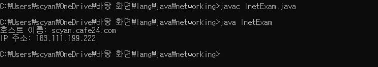 [java]자바/네트워킹/클래스/InetAddress : 네이버 블로그