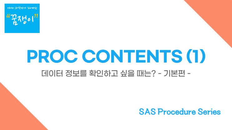 [SAS] 데이터 정보를 확인하고 싶다면? (PROC CONTENTS) : 네이버 블로그