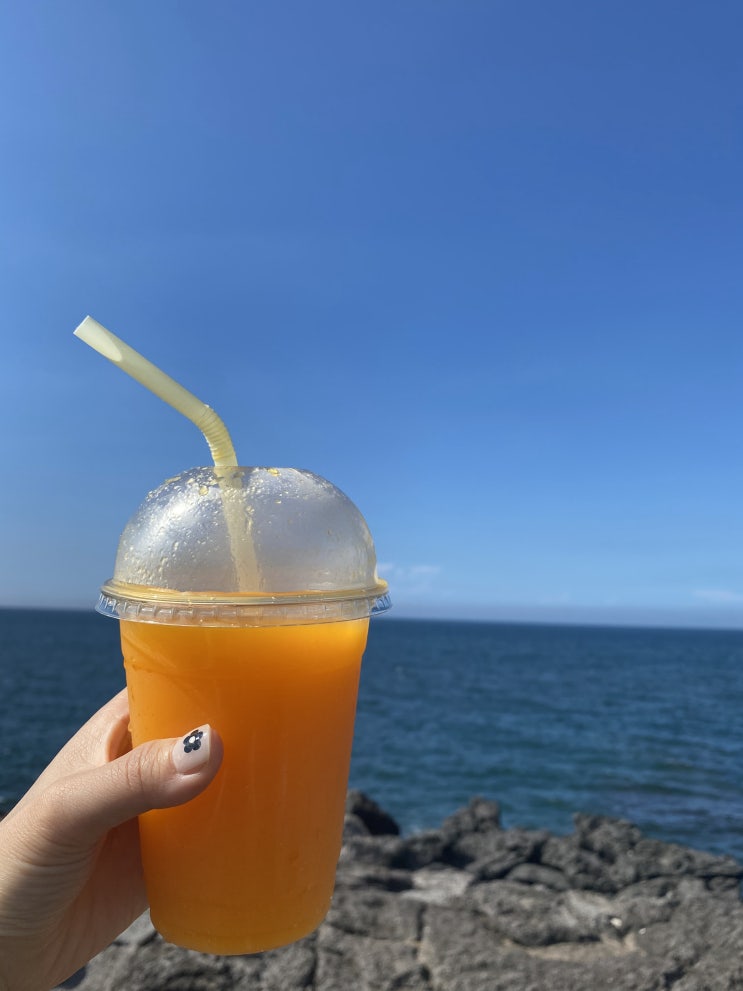 대학나무 제주공항근처 오션뷰 용담카페추천 기념품 여행 꿀팁은 덤🍊 네이버 블로그