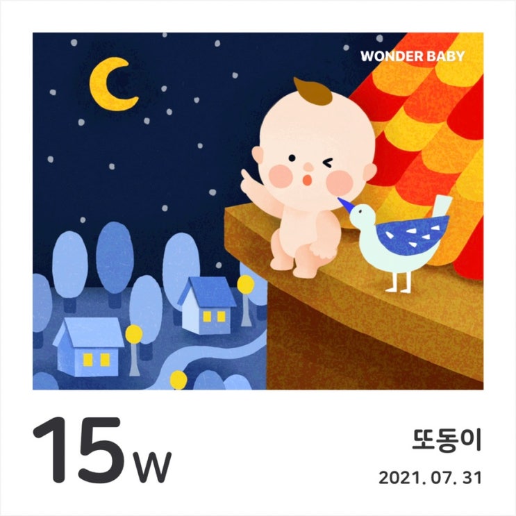 임신성별테스트 태몽 난황위치 중국황실달력 미국성별테스트 12주각도법 베이킹소다 네이버 블로그