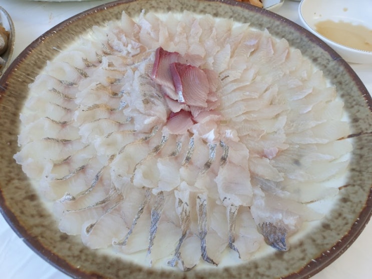 강릉안목항회센터자연산회명열2호안목항회센터2호명열덕산박철수교수맛집한림성심대학교방사선과방사선학과입학홍보처장22