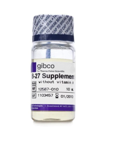 Gibco™ B-27™ Supplement (50X), minus vitamin A : 네이버 블로그