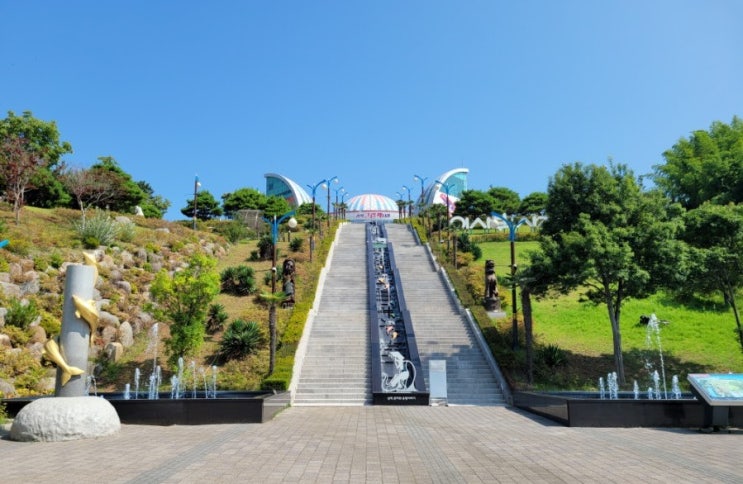 삼척여행3 아이들이 가볼만한 곳 추천 이사부사자공원사계절썰매장 추암해수욕장 네이버 블로그