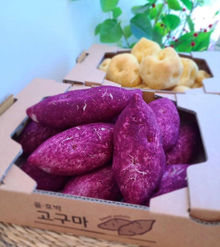 세종 대전 공주 청주 쌀베이킹 클래스 어느멋진날 리얼 고구마빵and감자빵 원데이클래스 후기 네이버 블로그
