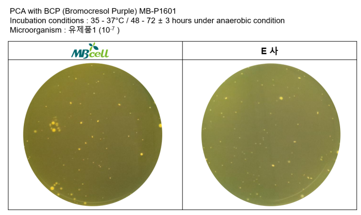 [유산균 실험] PCA with BCP (BCP 첨가 평판측정용 배지) 비교성능 시험 : 네이버 블로그
