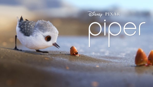 [단편영화 애니메이션] 도요새, 파이퍼 piper (2016) 앨런 바릴라로 감독 / 진현서네 : 네이버 블로그