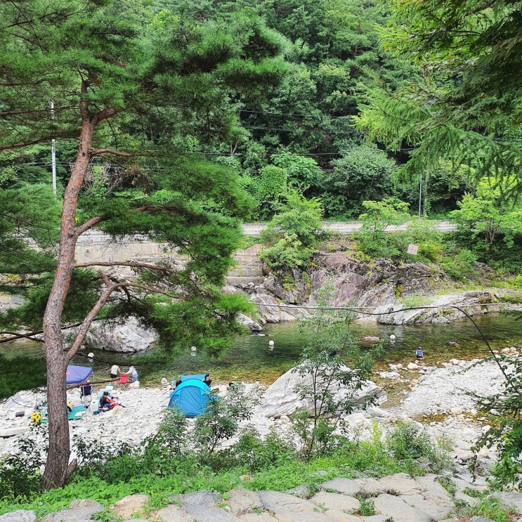 가평 계곡 연인산온천리조트 앞 계곡 물놀이하기 좋고 가볼만 한 곳 이라 해서 1박2일 여행 다녀왔어요 네이버 블로그