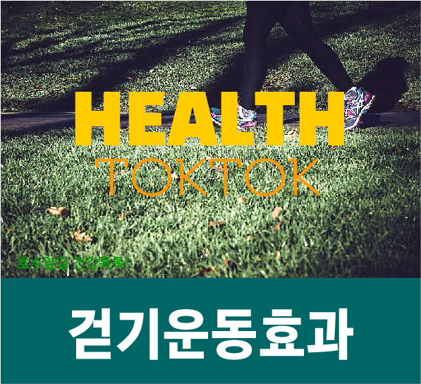 걷기 칼로리 소모량 걷기운동효과는 네이버 블로그