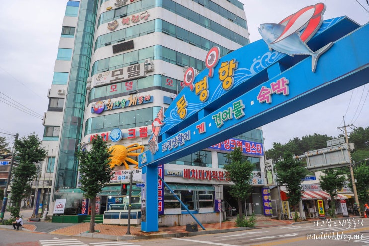 속초 가볼만한곳 동명항 당일치기 여행코스 네이버 블로그