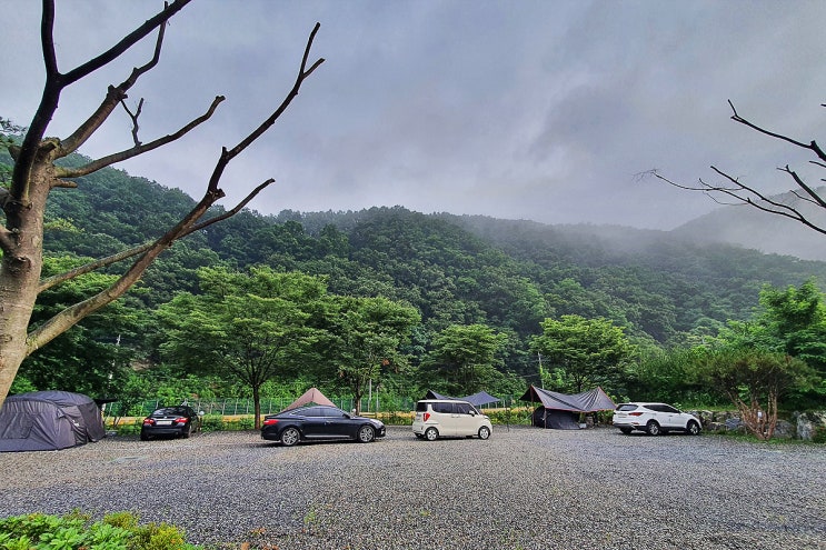 양평 캠핑장 서울근교 캠핑장 아담한 사이즈에 관리 잘되는 나만 알고 싶은 서울근교 계곡 캠핑장 수입리캠핑장