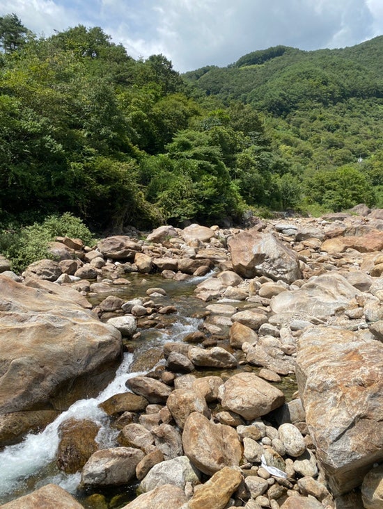지리산 계곡 추천 구례 계곡 늘푸른 산장 : 네이버 블로그