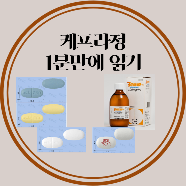 뇌전증치료제간질발작치료각종전신발작개선 새로운 기전의 뇌전증 치료제 케프라정 1분만에 읽기 네이버 블로그