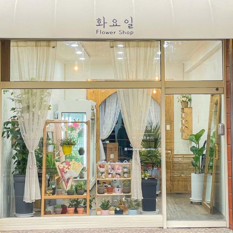 화요일플라워 전주꽃집 중화산동꽃집 네이버 블로그