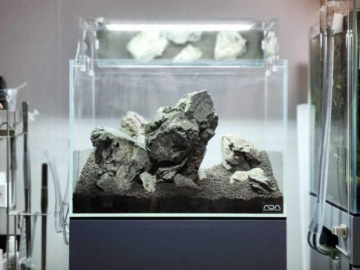 ADA mini m 석조 / Day 1. 만천석 이와구미 : 네이버 블로그