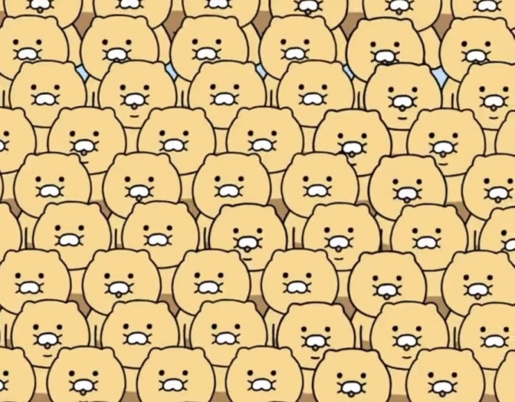 춘식이 춘식이웹툰 요즘취미 춘식이캡쳐 춘식이는고양이 포장은셀프입니다 고양이에게필터씌워보니 춘시리즈 회춘 청춘