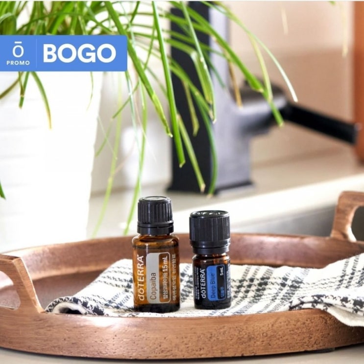 BOGO WEEK DAY3 : 네이버 블로그