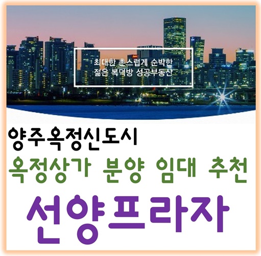 양주옥정신도시 옥정 상가 분양 임대 추천선양프라자 네이버 블로그