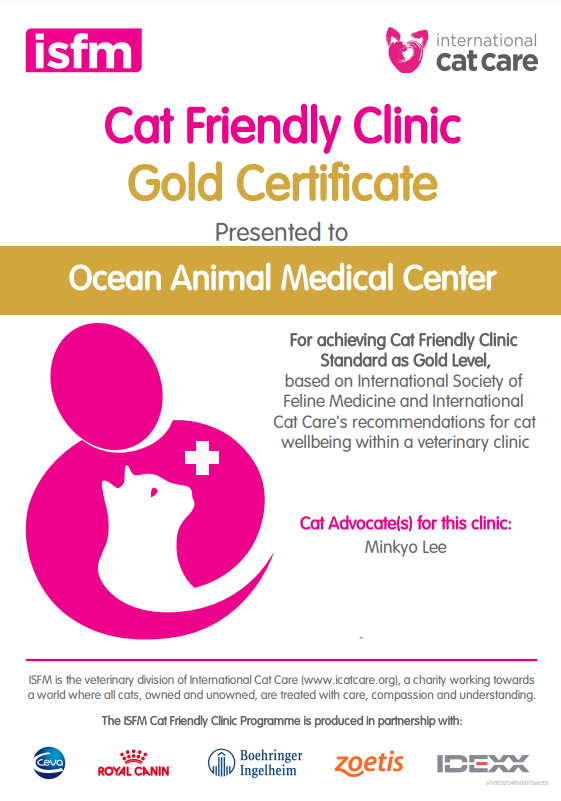 ISFM의 Cat Friendly Clinic(고양이 친화 병원) Gold Level 인증 병원, 부산 해운대 반여동 동물병원 ...