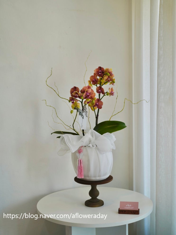 A Flower A Day 어플라워어데이 고급화분배달 개업화분 개업선물 고급난화분 서양난 호접란 오렌지난 영등포 여의도 신길동