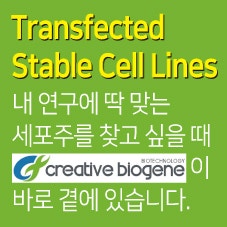 253호-내 연구에 딱 맞는 세포주 Creative Biogene Transfected Stable Cell Lines ...