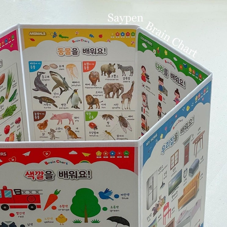 마감 브레인차트 공구 아기 실사 병풍차트 세이펜 아기병풍 추천 네이버 블로그