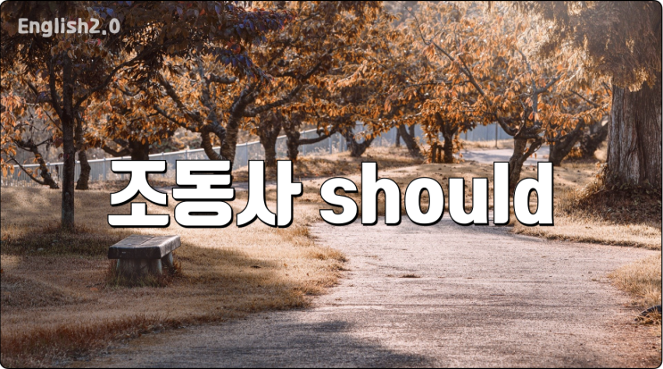 053.조동사(Modal verb) should : 네이버 블로그