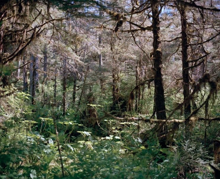 최종성 사진전 아트갤러리전주 《The Sad Tropics》 : 네이버 블로그