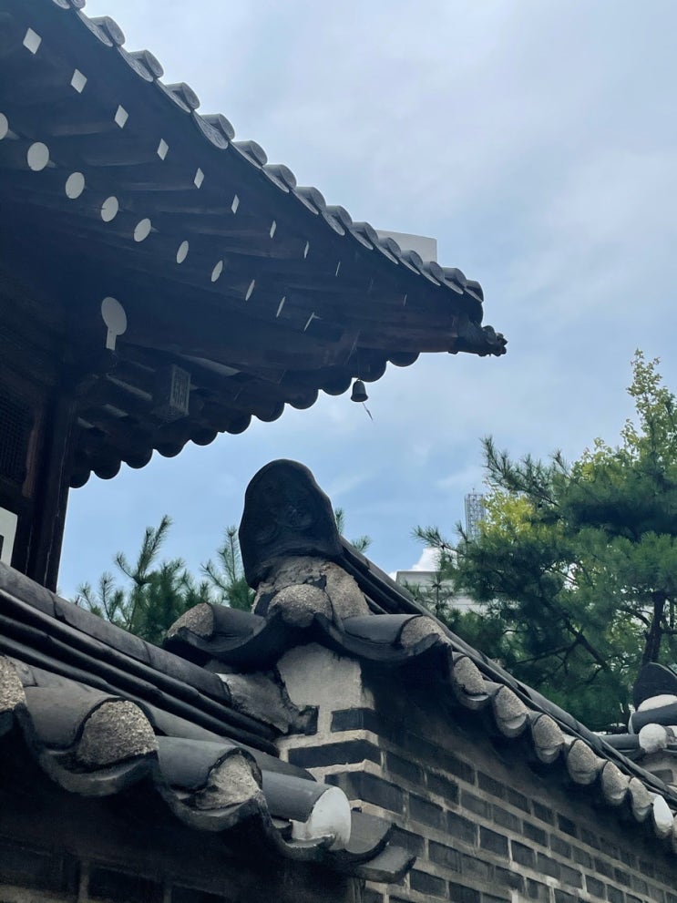 고호재_여름편 : 네이버 블로그