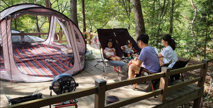 울산입화산 자연휴양림🏕 입화산 참나무야영장 참나무210 울산도심캠핑장 울산캠핑장 울산캠크닉 참나무그늘명당 네이버 블로그
