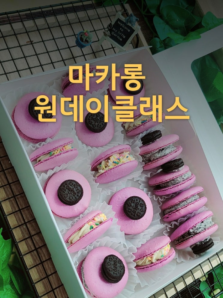 마카롱원데이클래스 키즈쿠킹클래스파티쉐의꿈사랑스런아이마카롱맛집스마일마음요리터스마일선생님 네이버 블로그