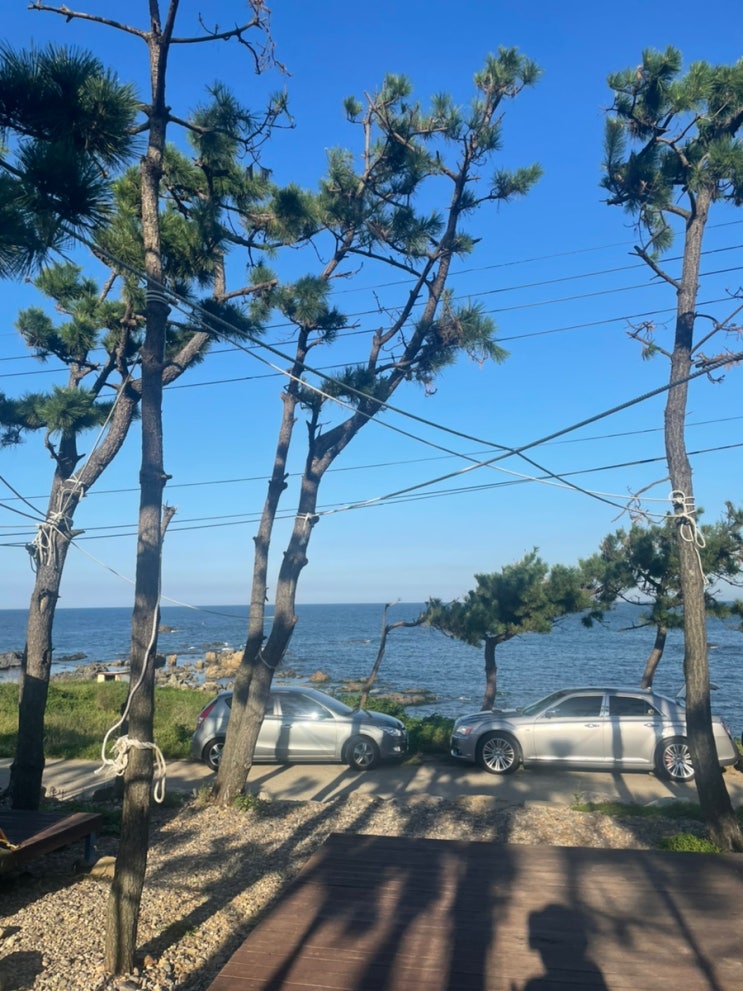 바다가 바로 앞에 있는 포항 땅끝 황토펜션 • 오토캠핑장 네이버 블로그