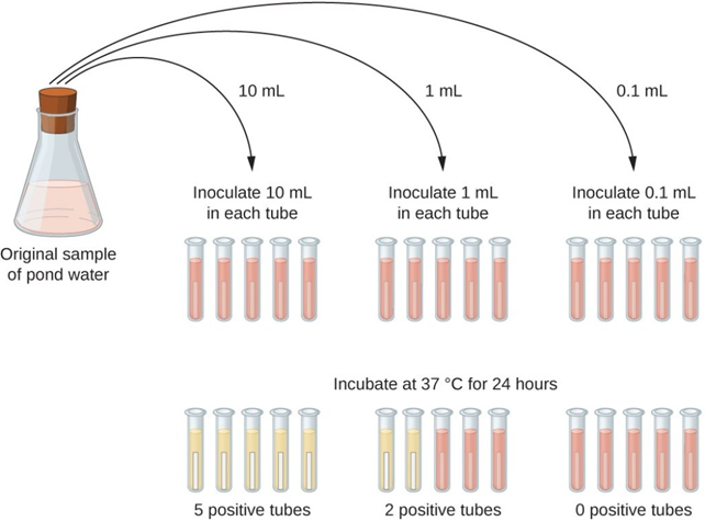 [식품위생학] 대장균군 시험법 (Coliform test) - 2 : 네이버 블로그