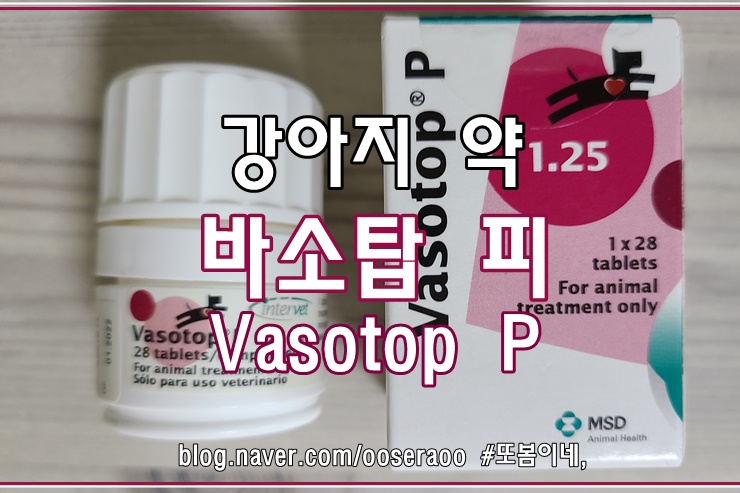 강아지 고혈압, 심부전, 심장약 바소탑 피 Vasotop P 자세히 알아보기 : 네이버 블로그