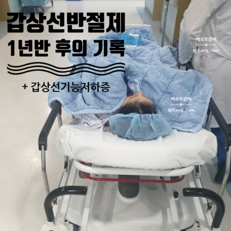 갑상선 반절제 수술 1년반 후 갑상선기능저하증 증상 극복하는 중입니다 네이버 블로그