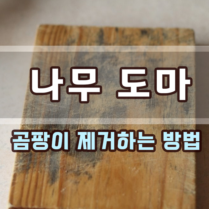 나무도마 곰팡이 제거 세척 관리 방법 네이버 블로그