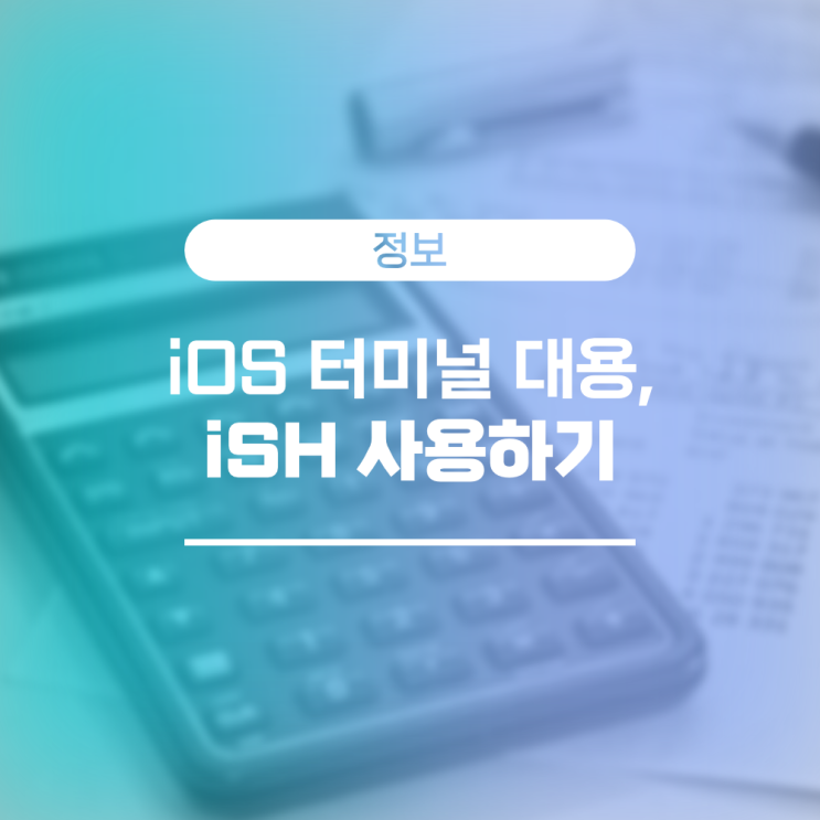 아이폰 및 아이패드 터미널 대용, iSH 사용해 보기 : 네이버 블로그