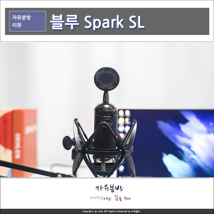 유튜브 마이크 BLUE Spark SL, XLR 단자 오인페 연결 가능 : 네이버 블로그