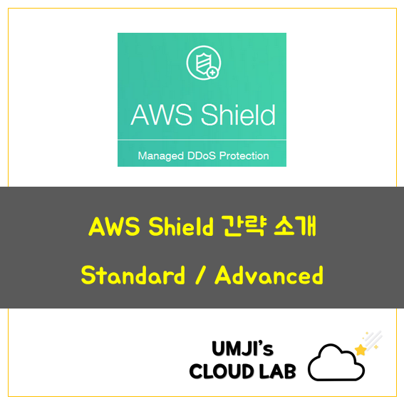 AWS Shield Standard / Advanced 간략소개 및 차이점 : 네이버 블로그