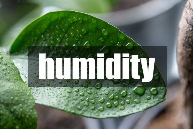 일상영어 배우기-영단어 humidity와 humility 공부하기 : 네이버 블로그